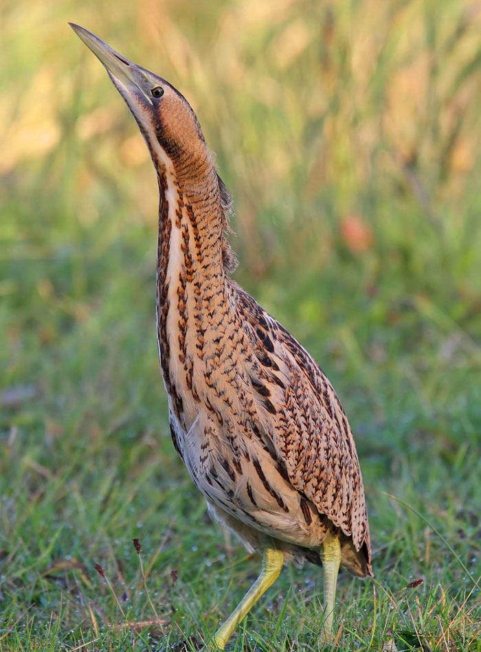 The Arnside and Silverdale area